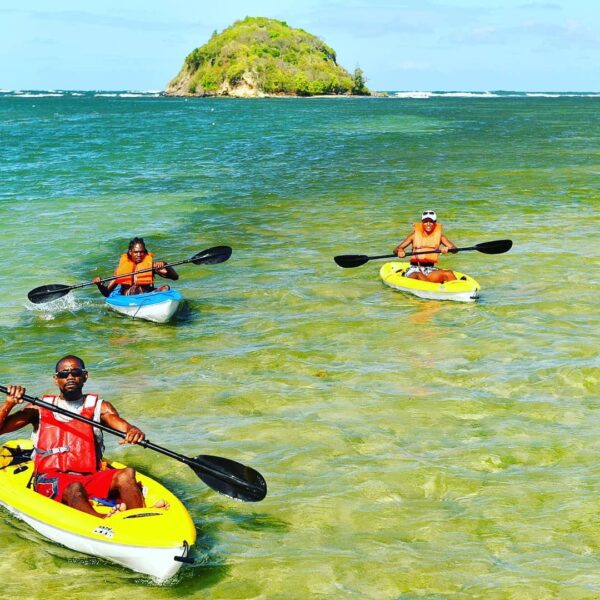 Serenity Tours – Start Your Adventure With Us Today!